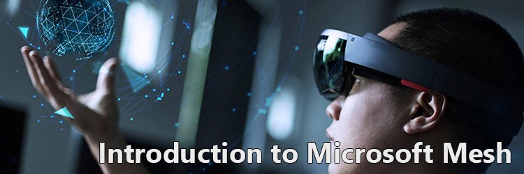 Terminalworks Blog | Introduction to Microsoft Mesh