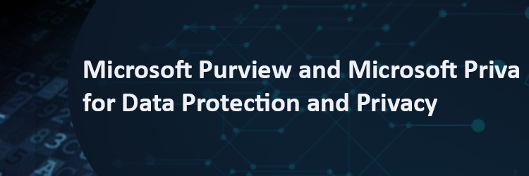 Terminalworks Blog | Microsoft Purview and Microsoft Priva for Data ...